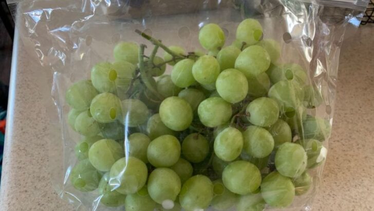 8 Creative Things to Do With Overripe Grapes - Baking Kneads, LLC