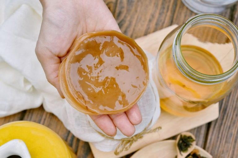 How to Grow a SCOBY (Without Kombucha) - Baking Kneads, LLC