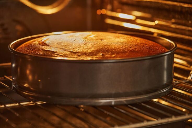 7 Smart Ways to Fix a Dense Cake - Baking Kneads, LLC