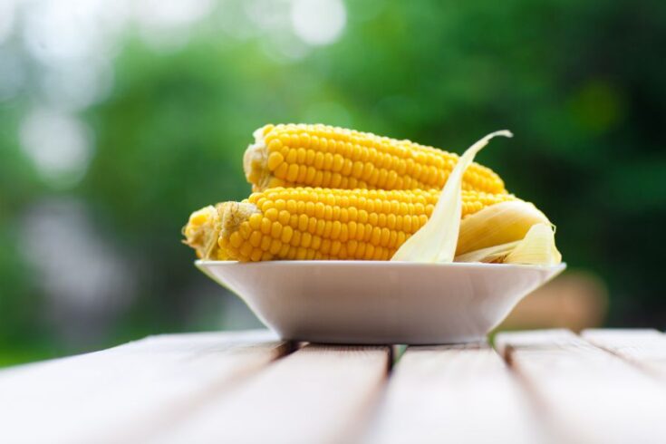 How to Make Cornbread Without Cornmeal (Using Simple Ingredient Swaps ...