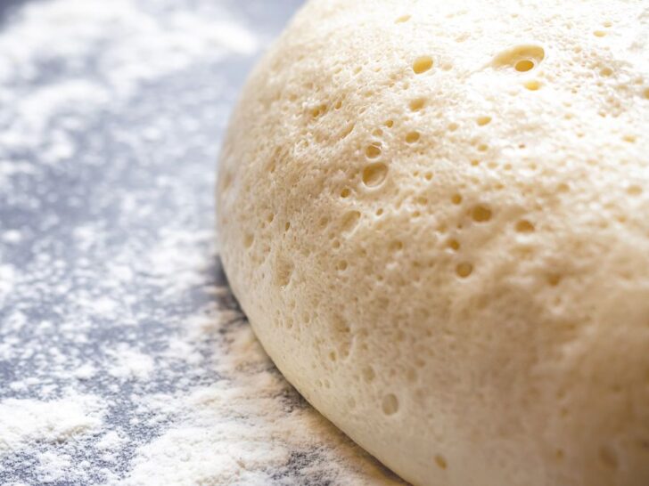 How To Fix Your Over-Proofed Dough (Plus Tips to Prevent It) - Baking ...